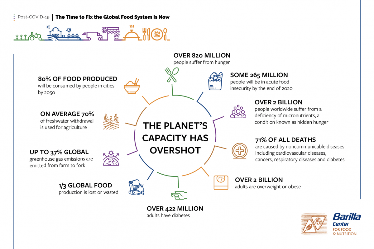 COVID-19 and the need to reshape our food systems - CMCC