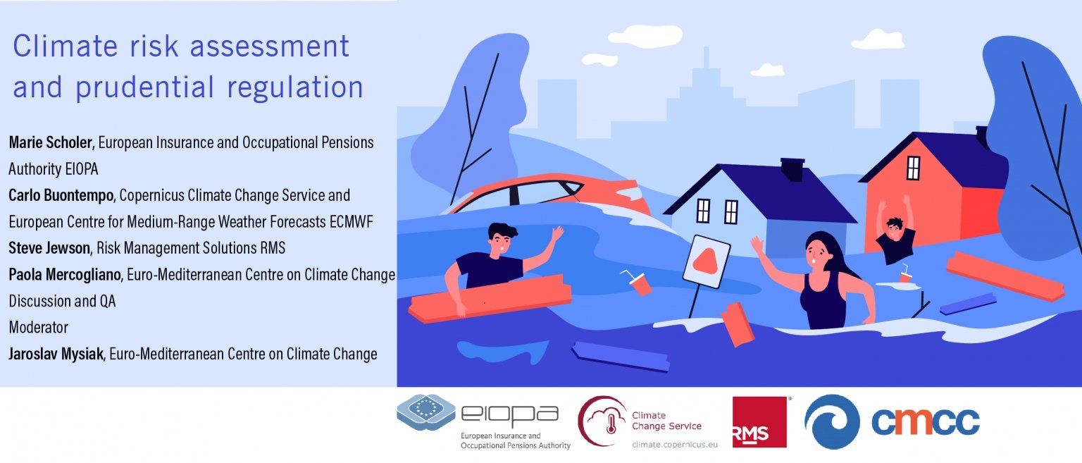Climate risk assessment and prudential regulation - CMCC