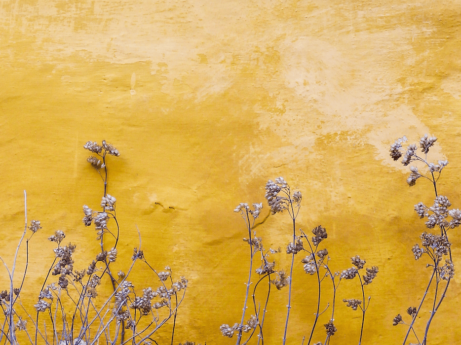 SISC2023: Mission Adaptation! Managing the risk and building resilience - CMCC