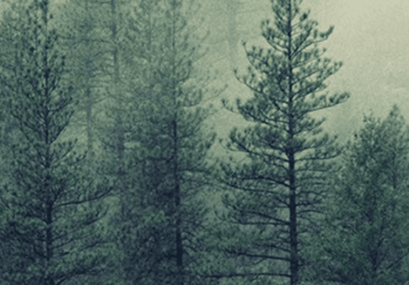 A Primer on Atmospheric Inverse Modelling: Towards greenhouse gas ...